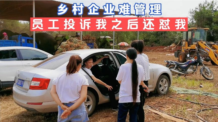 乡村企业难管理,员工集体投诉我之后,现在又集体面对面怼我