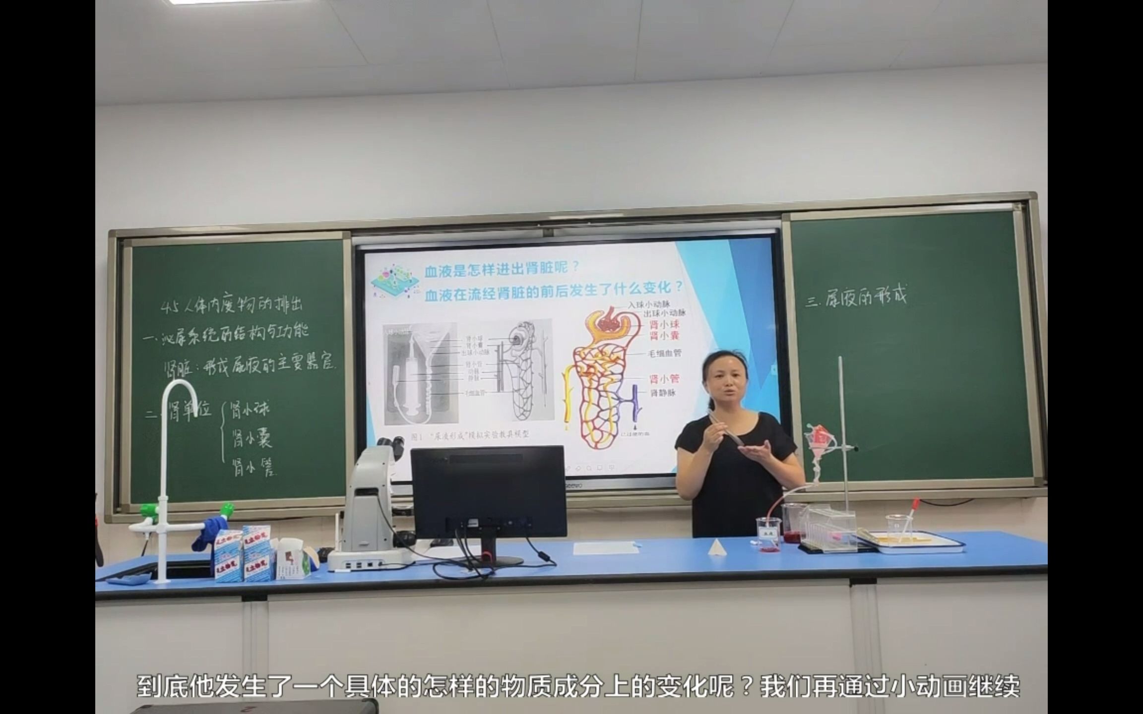 微课-尿液的形成(惠嘉欣)