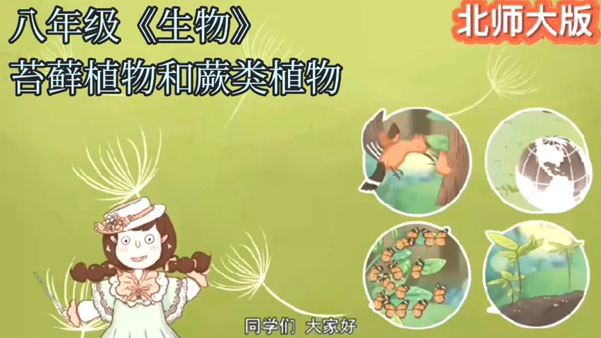 八年级《生物》:苔藓植物与蕨类植物。小初动画课,内容生动有趣