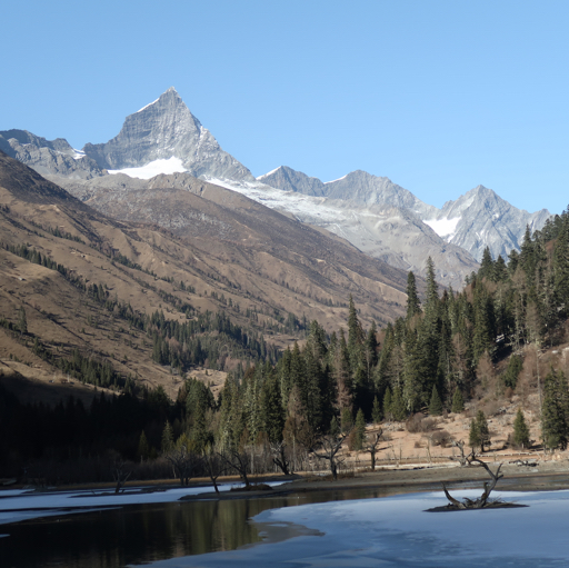 爱玩乐高的牛牛 