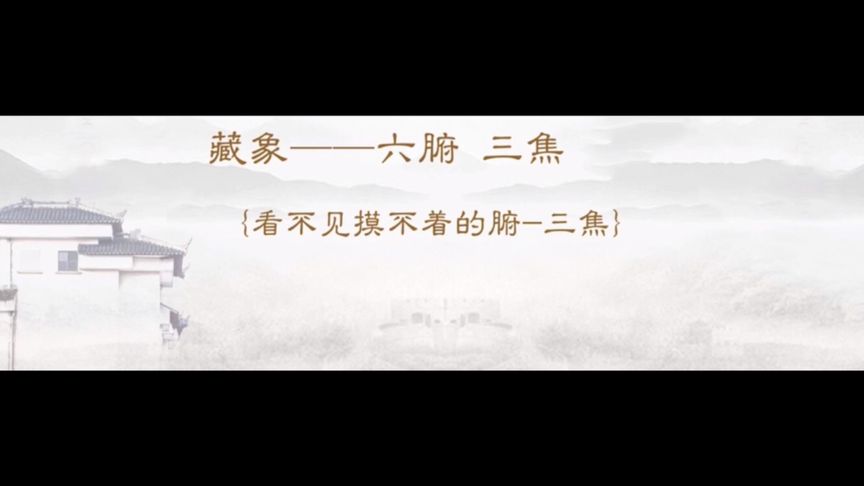 每天一分钟,一起学中医
