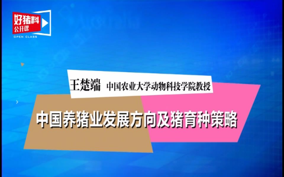 《中国养猪业发展方向及猪育种策略》好猪料公开课