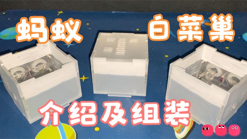多功能蚂蚁试管巢介绍及组装