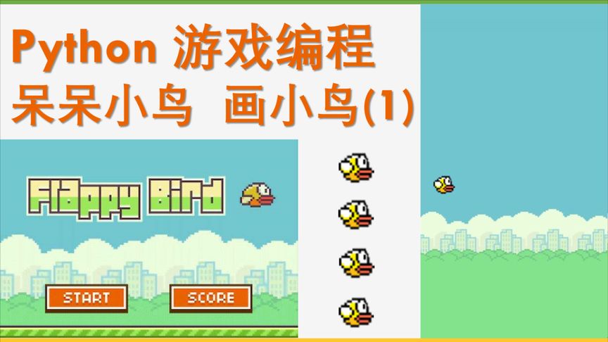 【Python零基础】初见pygame,做出flappy bird