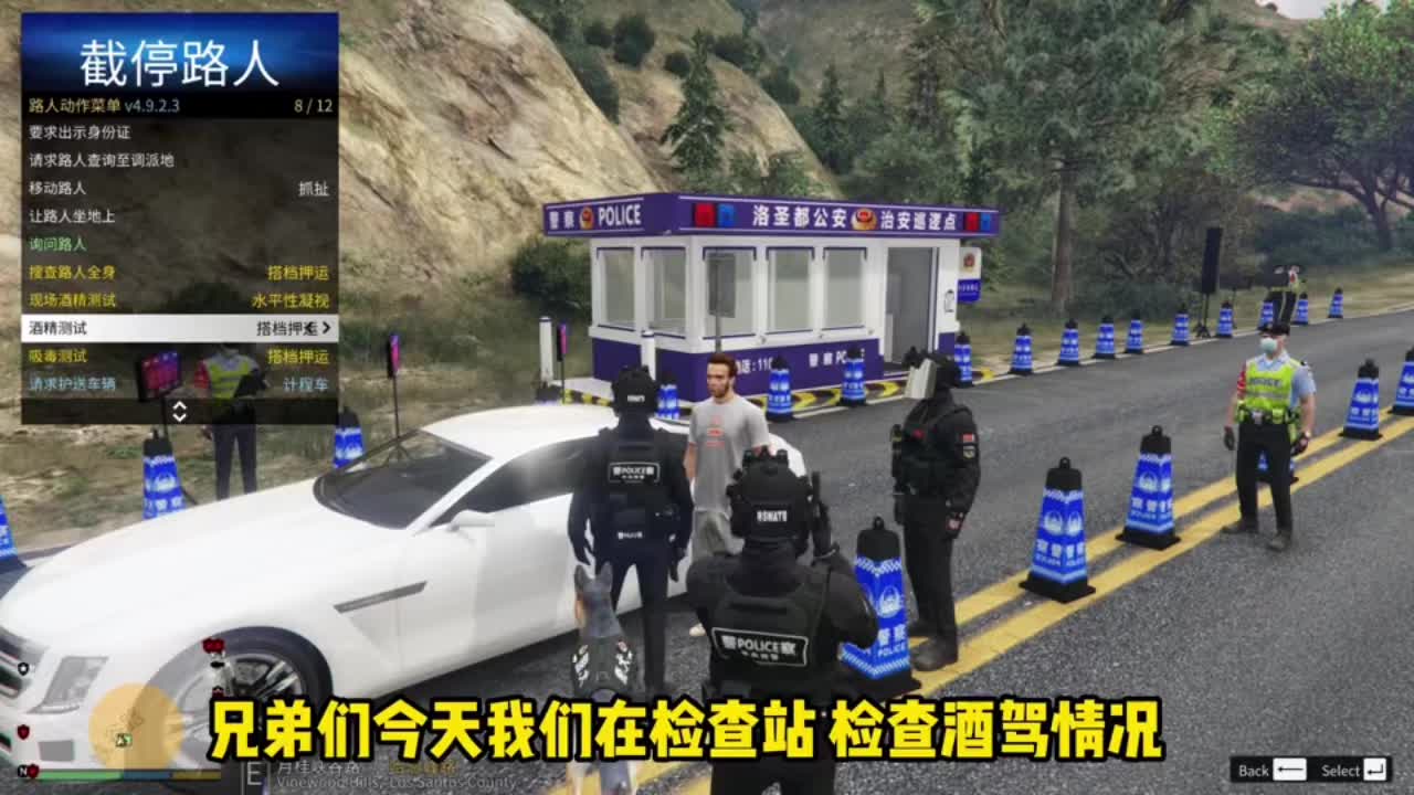 #单机游戏 #警察模拟器