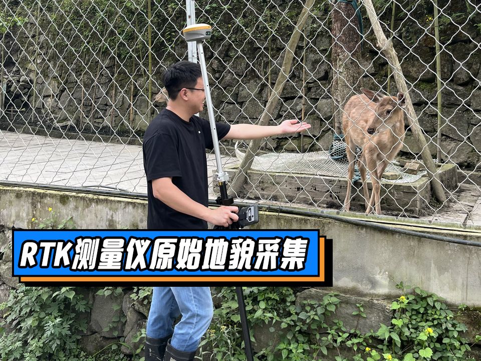 外业测量偶遇梅花鹿
