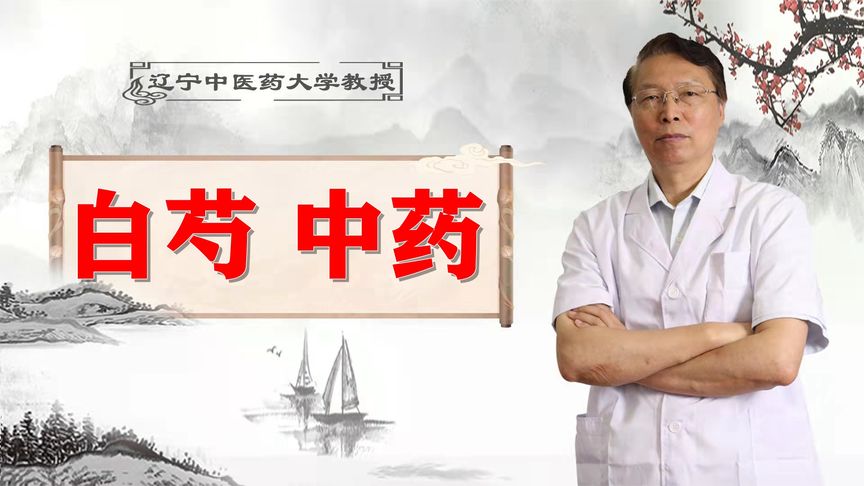 中医分享中药白芍,养血敛阴、柔肝止痛,两种作用知道的人不多