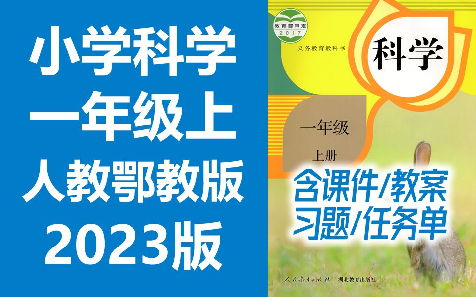 小学科学一年级科学上册 人教版 鄂教版 2023新版 小学科学1年级科学...