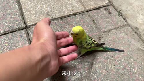 这两个家伙长得一模一样,我已经凌乱了