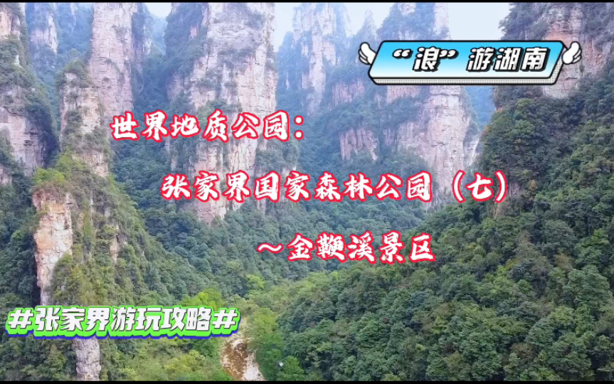 世界级地质公园:张家界国家森林公园之“金鞭溪景区”。