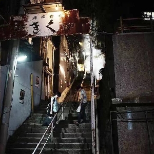 爱小叶z 