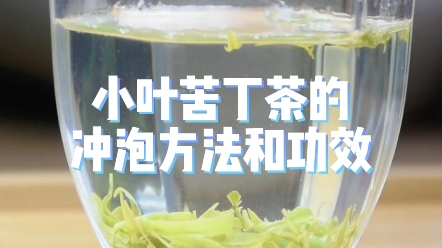 小叶苦丁茶的冲泡方法和功效!