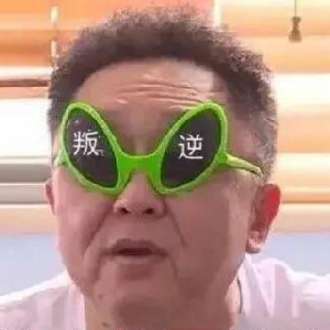阿丁爱做宝可梦 