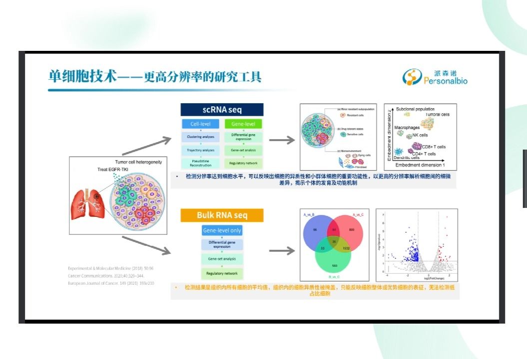单细胞测序在农学领域的应用