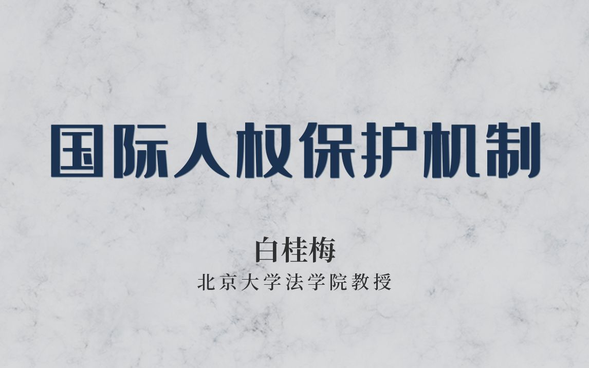 国际人权法:国际人权保护机制第三节 人权非政府组织与人权保护