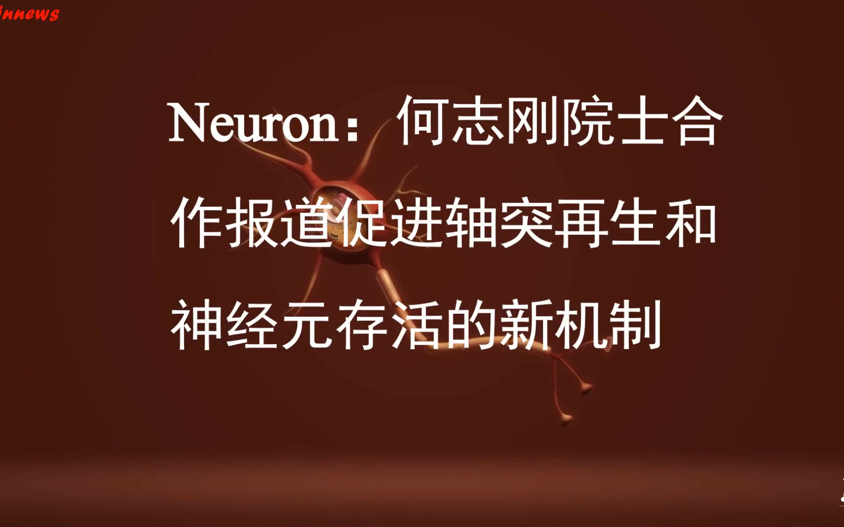 ...Neuron:何志刚院士合作报道促进轴突再生和神经元存活的新机制