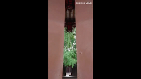 虚拟数字人准社会互动对Z世代旅游目的地选择意愿影响的问卷视频