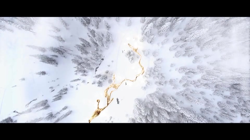 DIOR首页宣传视频