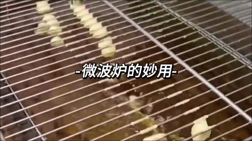 微波炉的秘密小技能,你绝对想不到!