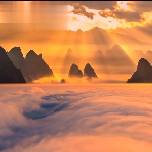 梁宝的野生录屏组 