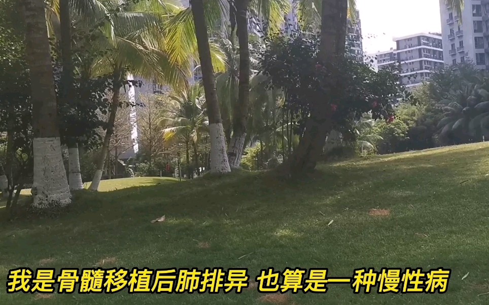 慢性病之肺排异 看我如何康复 肺不好气喘呼吸困难的朋友也可以来...