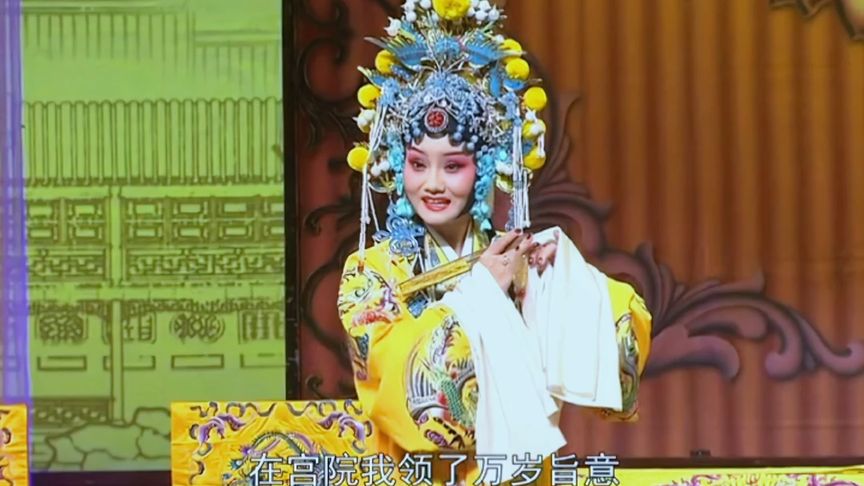 名家名段·劝宫·精彩唱段·山西省蒲剧艺术院贾菊兰老师