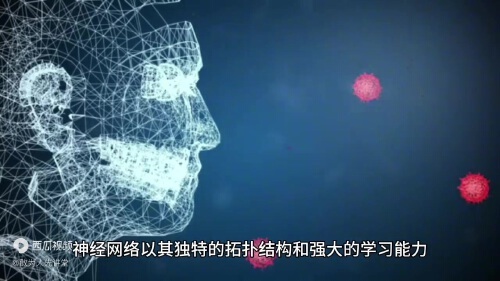 神经网络的拓扑结构究竟有何奥秘