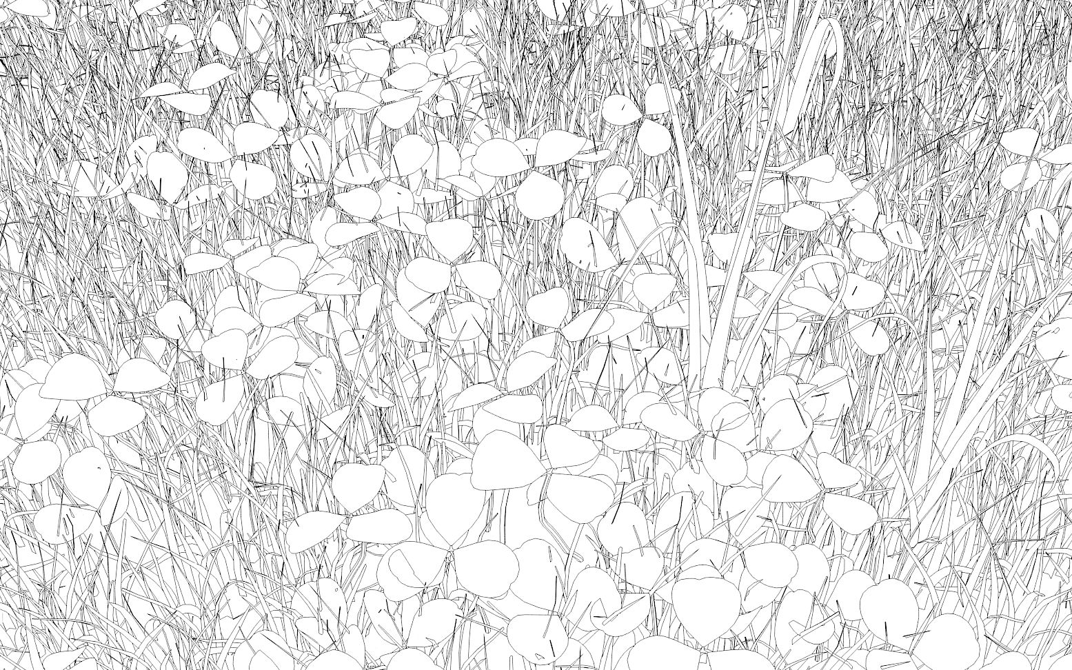 3DMAX-VR快速制作线描模型图