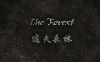 迷失森林新武器复合弓位置