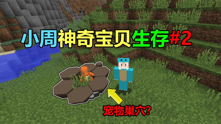 我的世界小周神奇宝贝生存2:发现宠物巢穴?