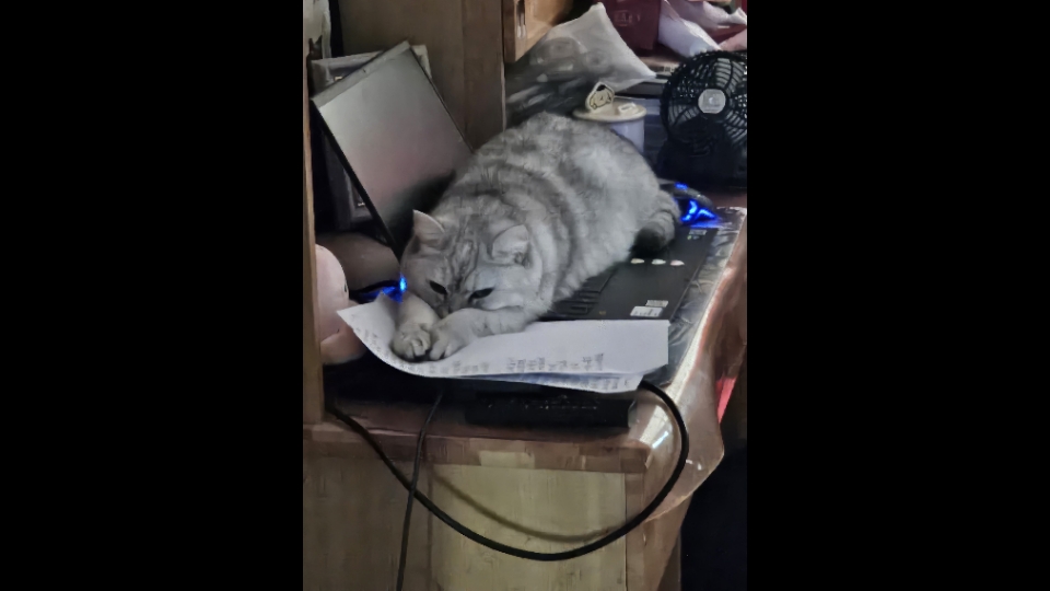 赛博算命,AI赋能,国学还得看国产AIߘ