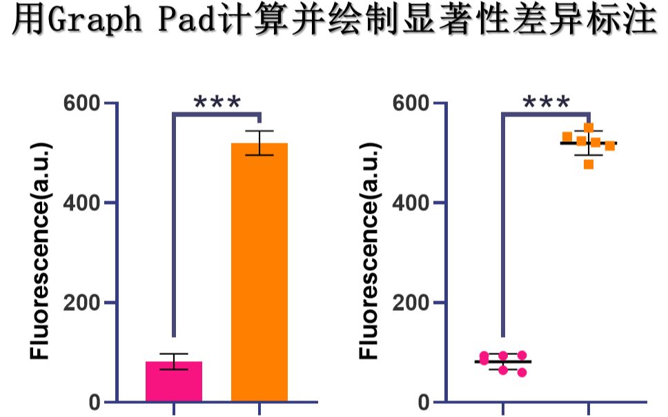【简介区免费领课】科研绘图graphpad绘制柱状图并计算显著性差异