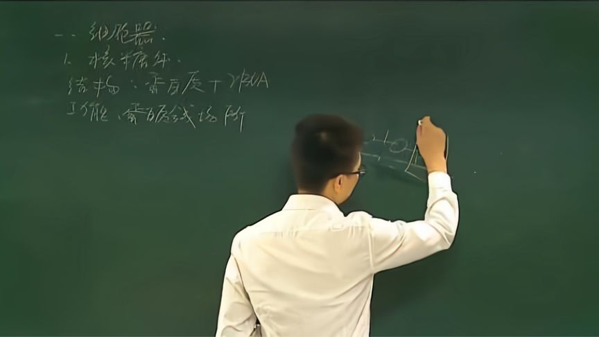 高一生物,细胞的结构与功能-细胞器的结构与功能(一)知识点