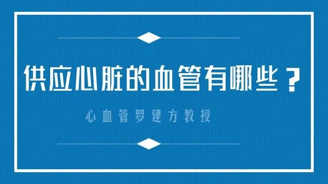 供应心脏的血管有哪些?