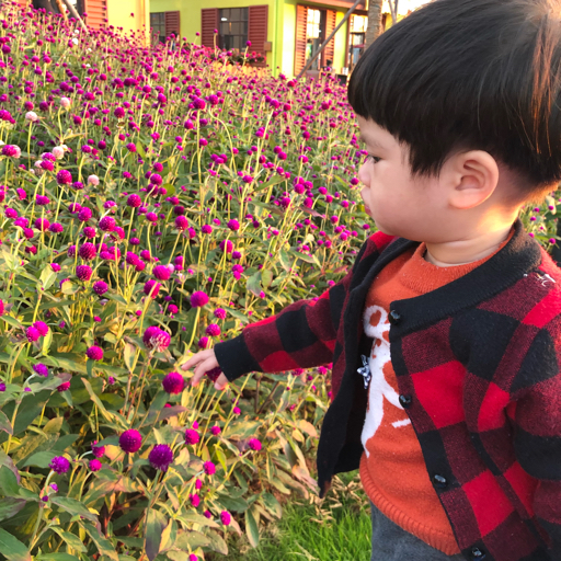 携一老一幼的小日子 