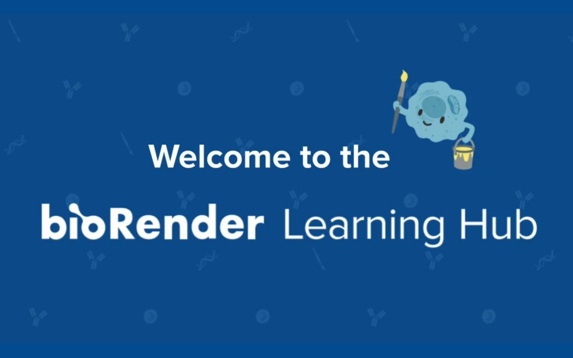 biorender科研绘图学习资料