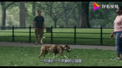 植物通过空气传播病毒,人们只要呼吸就会离奇去世,完全无处可逃