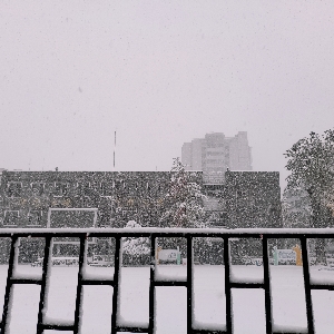 不要逼逼赖赖no 