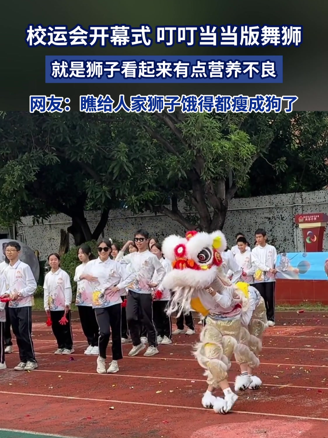 校运会开幕式,叮叮当当版舞狮,就是狮子看起来有点营养不良