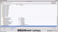 007 为Mac上的模拟器安装硬件加速