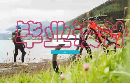 高校共享单车管理系统.一条龙服务 包调试 运行