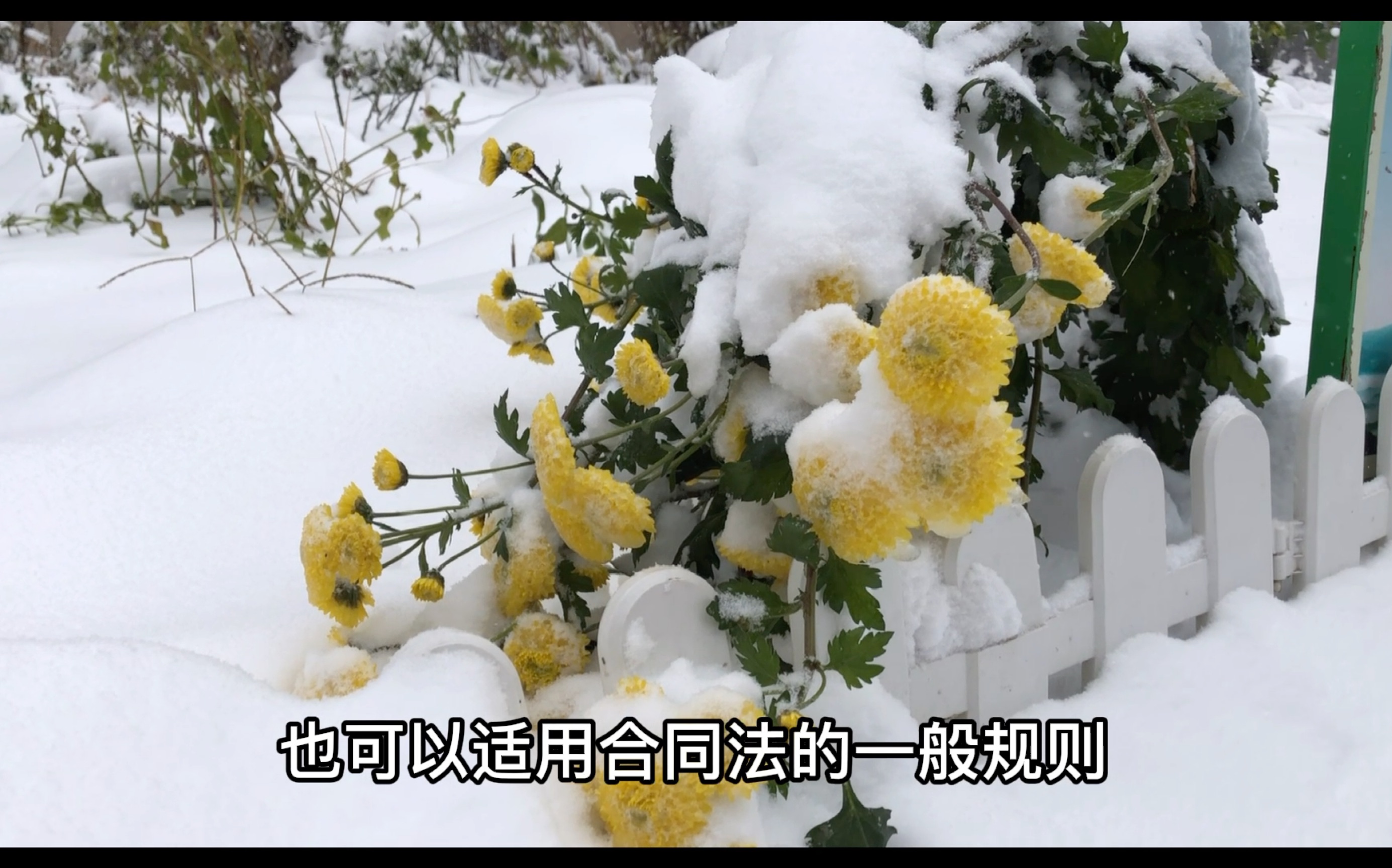 公司章程生效条件