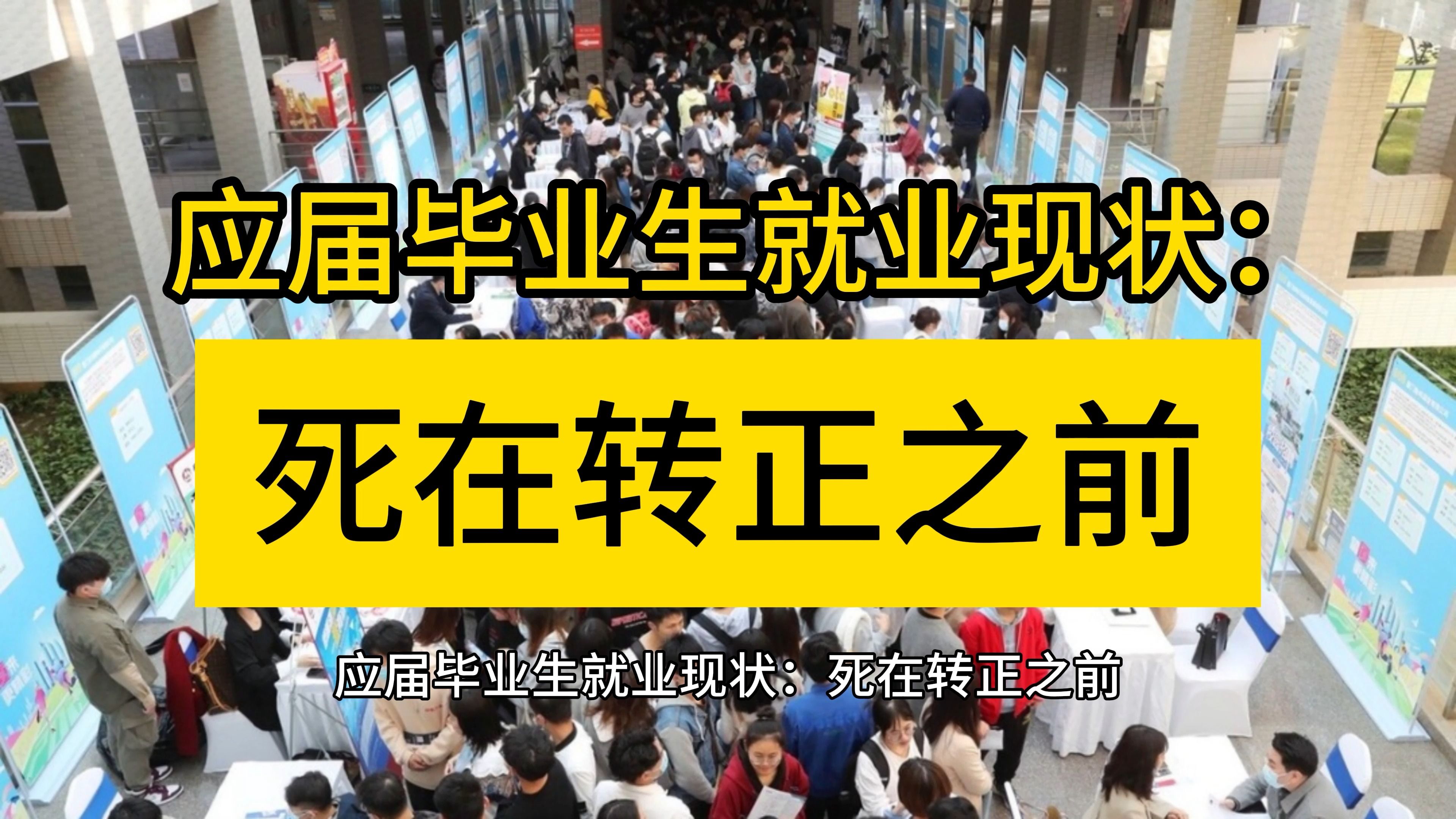 应届毕业生就业现状:死在转正之前