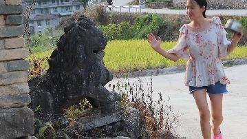 小时候用来染指甲臭美的凤仙花,原来还有这么多药用价值