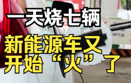 一天烧7辆?2022年,新能源车又开始“火”了! 财经 新能源