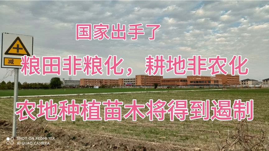 拿着粮食补贴却种植花卉苗木,这种情况将得到遏制,农民注意了