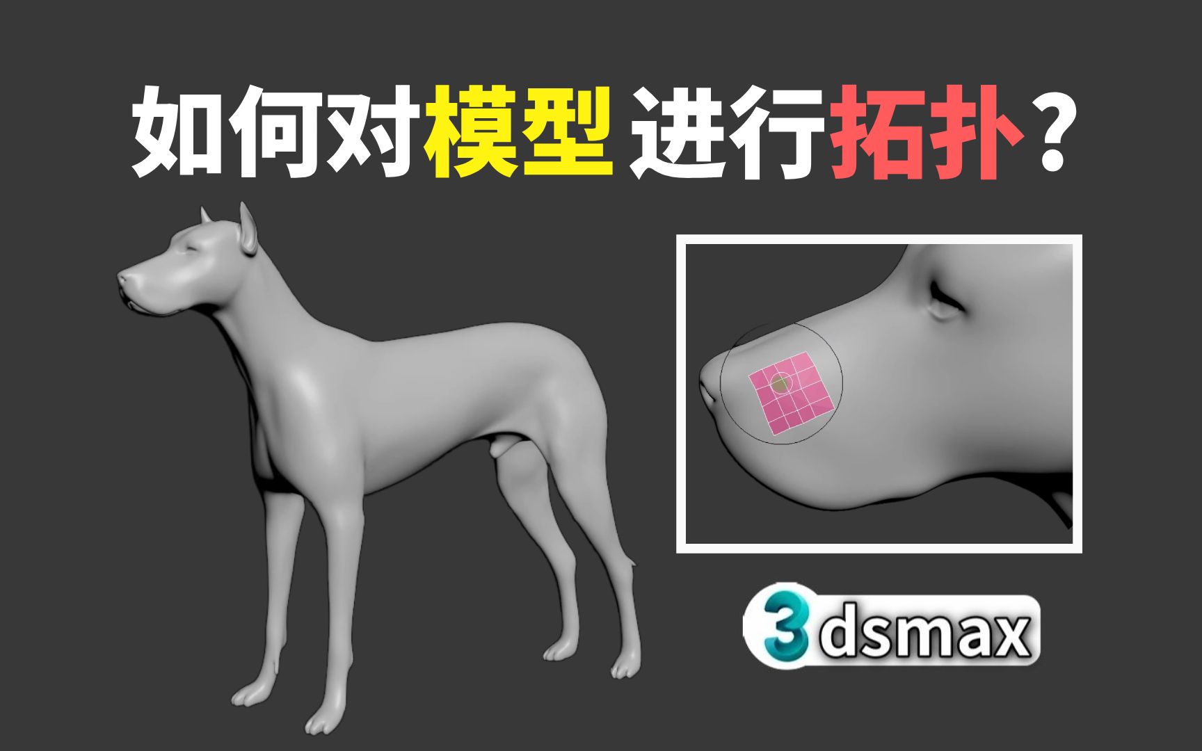3DMAX如何对模型进行拓扑?3dmax拓扑工具的正确使用方法