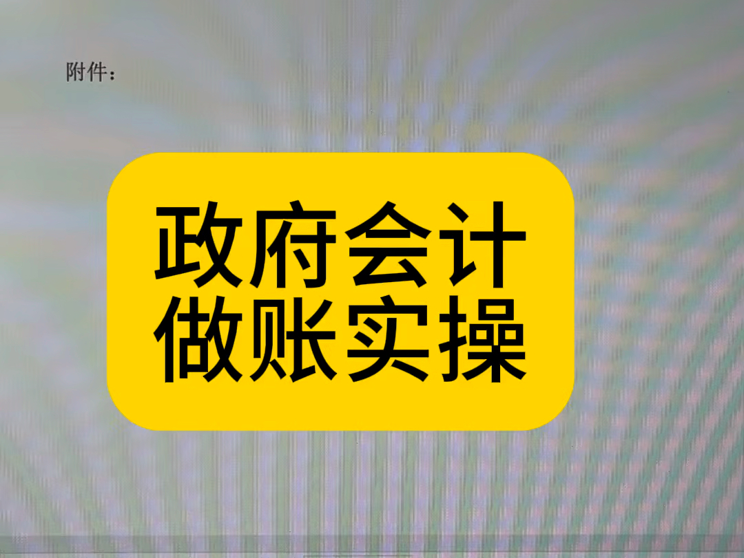会计实操|政府会计做账实操一本通|零基础学会计