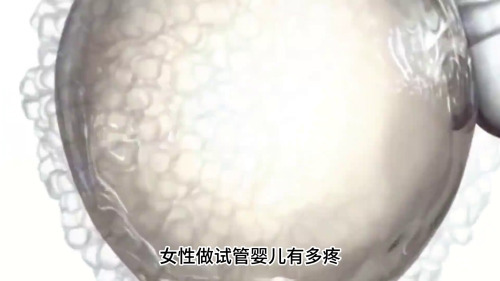 女性做试管婴儿有多疼?镜头记录整个过程,母亲太伟大了(1