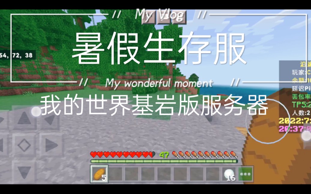 暑假我的世界基岩版生存服务器 有没有人一起来玩呢~